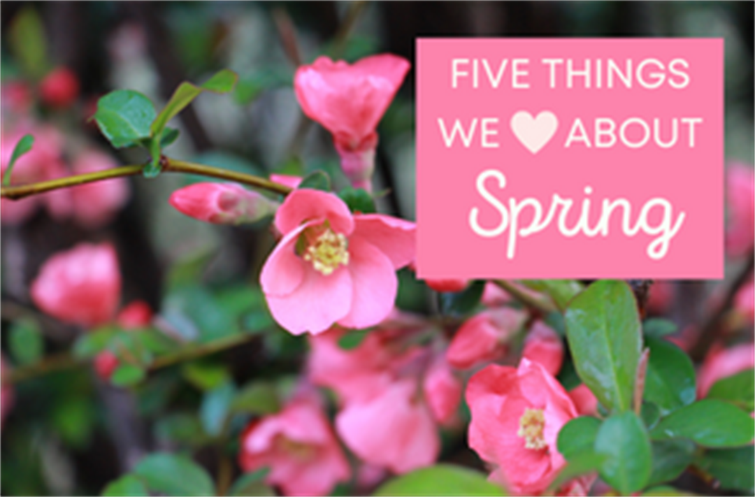 Five Things We Love About Spring Merriam Visitors Bureau